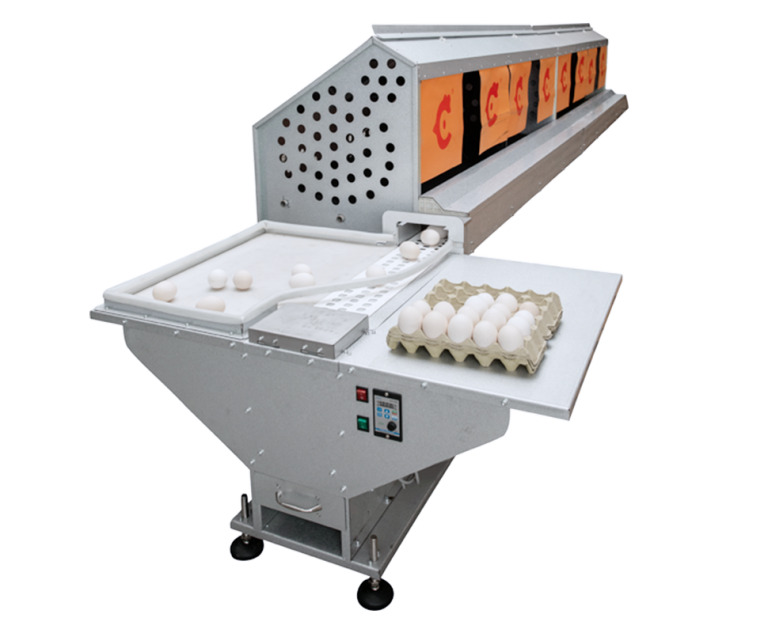 Automatic egg collection equipment